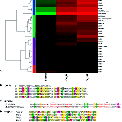 Hierarchical cluster and structure analysis of DEGs for the byssus ...