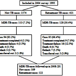Flow chart on numbers of patients included in the anti-tuberculosis ...