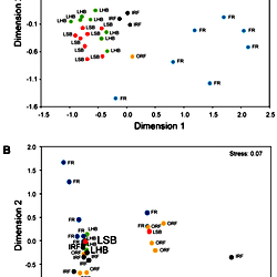 Multidimensional Scaling (MDS) analysis of fish assemblage structure.