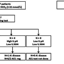 Study results flow chart.