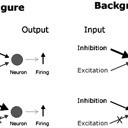 Scheme illustrating the mechanisms of figure-ground segregation by the ...
