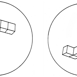 Mental rotation task (Experiment 2).