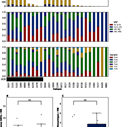 Single nucleotide variants (SNVs) and treatment response.