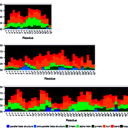 Secondary structure of polyQ fragments of different lengths.
