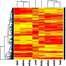 Heatmap obtained with edgeR.