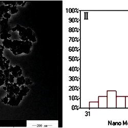 TEM image and particle size distribution of TiO2 NPs.