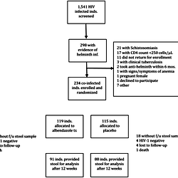 CONSORT flowchart of study screening and enrollment.