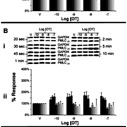 Comparison between WB and ICW for cell responses to OT.