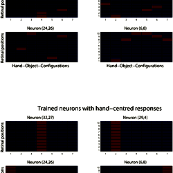 Response profiles of the same 4 output neurons before and after ...