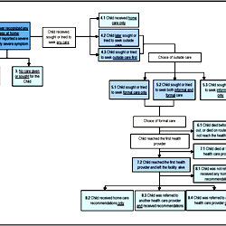 The “Pathway to Survival” component and indicators.