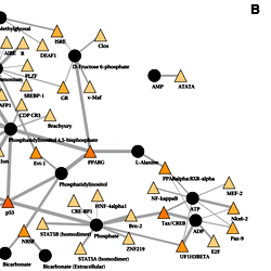 Summary of the main results from the motif enrichment analysis.