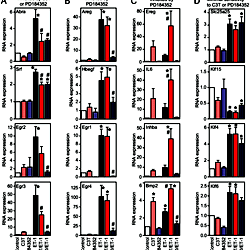 Validation of microarray data.
