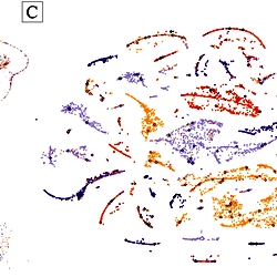 2D projection of the training patches and their activations on ...