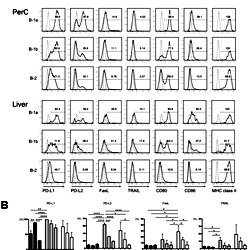 Phenotypic analysis of each B cell subset isolated from Balb/c mice.