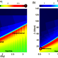 Results for the TMT under different fractionation schemes.