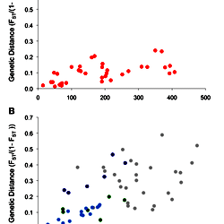 Isolation by distance.