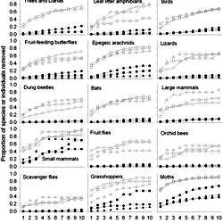 Patterns of rarity in the species data used in this paper.