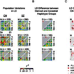 Linkage disequilibrium (LD) analysis.