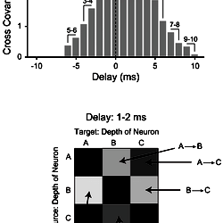 Method for obtaining values for Synchronization Matrices (SMs).