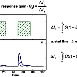 Schematic description of signal response gain (Gs).