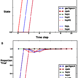 Time evolution of proteins in the model.
