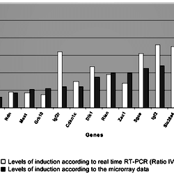 Comparison of levels of induction for 15 genes between real time RT-PCR and microarrays data.