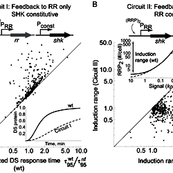 Tradeoff and synergy in two-component system feedback interactions.