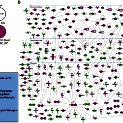 Genes up-regulated in the CIS and invasive SCC datasets relative to BE ...