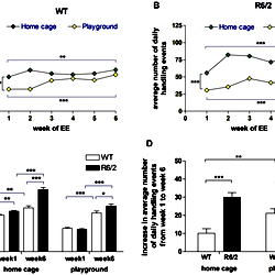 Amount of handling needed to keep the mice awake during the enrichment ...