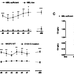 Serum levels of MBL and MASP-2 and complement system activation ...