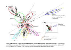 Development and evaluation of a core genome multilocus typing scheme for whole-genome sequence ...