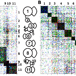 Comparison of block assignment.