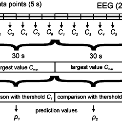 Principle of analysis.