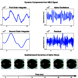 Estimated dynamic components.