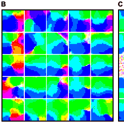 Anisotropic inputs create anisotropic maps.