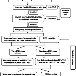 The Experimental Design Flow Chart of the study.