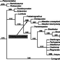 Phylogenetic relationships.