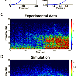 Experimental and theoretical spectrogram during propofol-induced ...