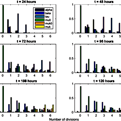 Sensitivity analysis with first order Sobol’ indices for each model ...