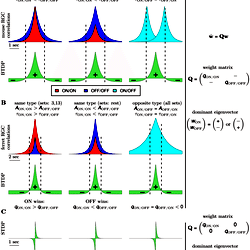 Insights into ON/OFF segregation from the linear model.