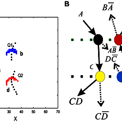 The space-time behavior of several localized coherent patterns and ...