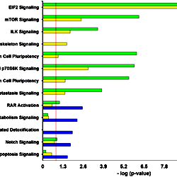 DEG functional analysis (IPA).