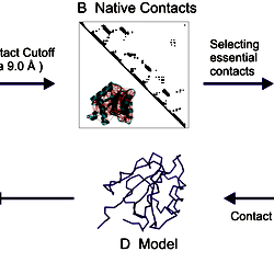 The concept of structural essence.