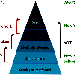Diagram of two approaches to estimating the sCFR.