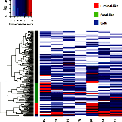 Heatmap and cluster dendrogram demonstrating the expression patterns of ...