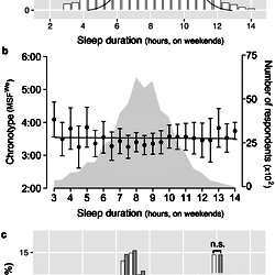 Chronotype and sleep duration.