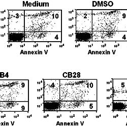 Assessment of CCRF-CEM cell viability by propidium iodide (PI) and ...