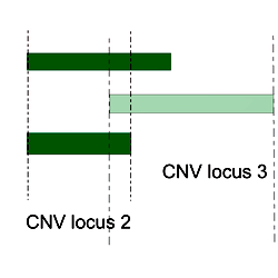 Clustering CNV calls into CNV loci based on a reciprocal overlap ...