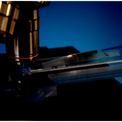 Collector tube mounted in the mAECT viewing chamber under the microscope.