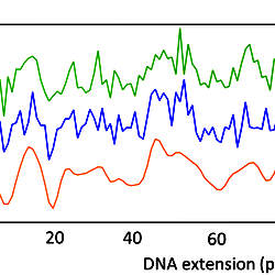 Examples of optical mapping kymographs (raw, aligned and time averaged) from a linearized ...
